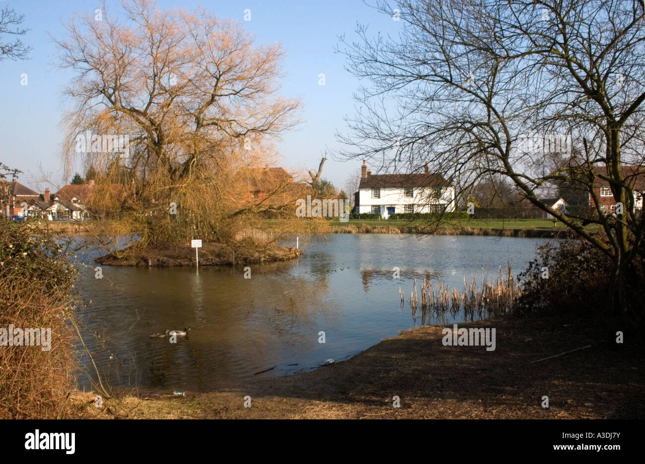 Typical Kent Village Green with Pond and Ducks Stock Photo - Alamy