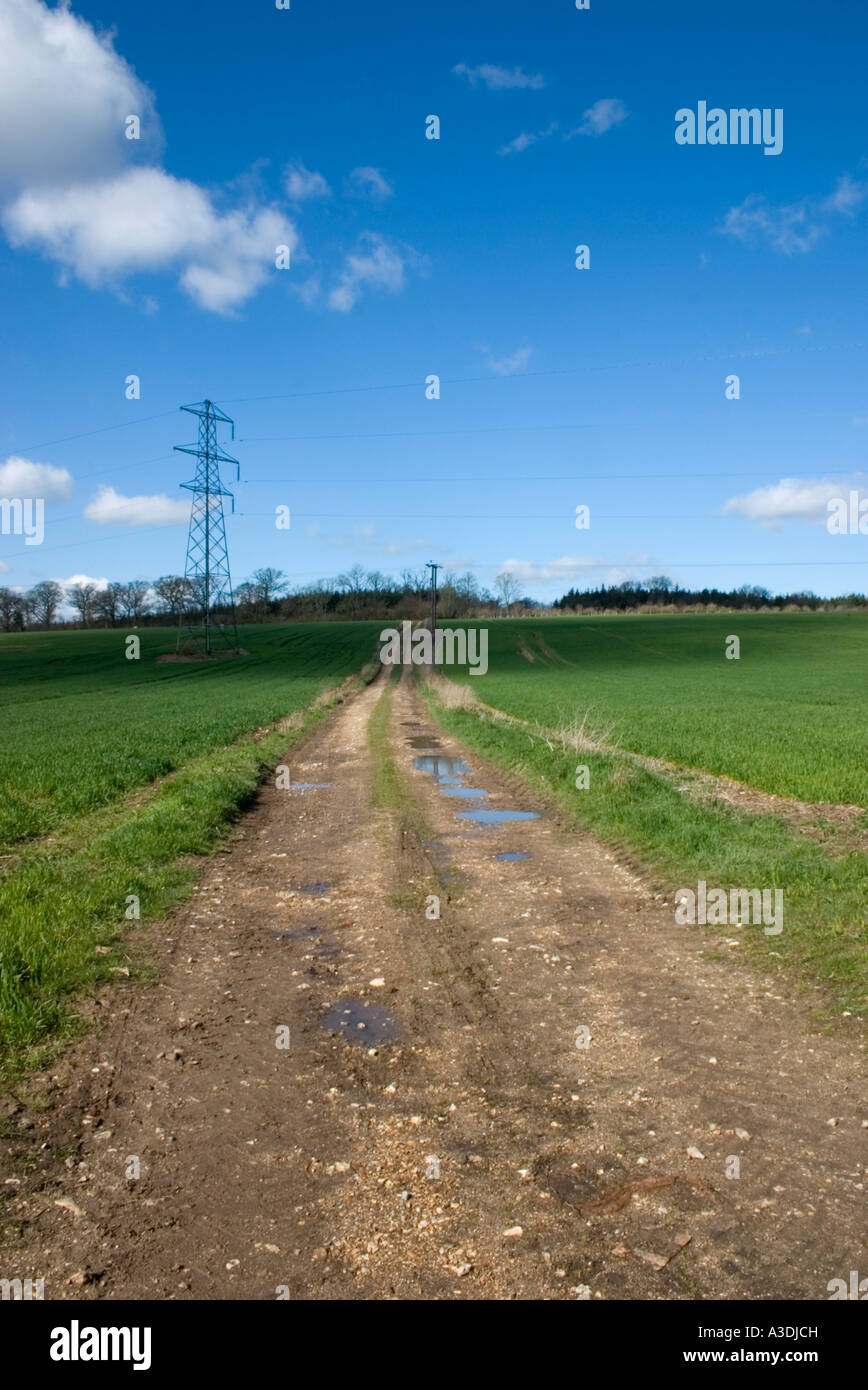 Track across fields Near Romsey Stock Photo - Alamy