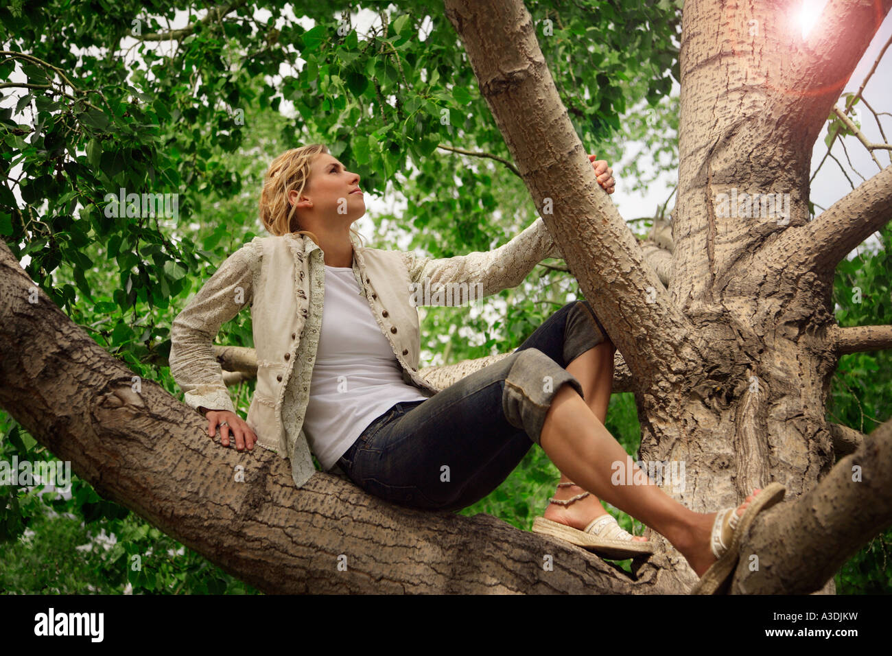 Tree sitting fad hi-res stock photography and images - Alamy