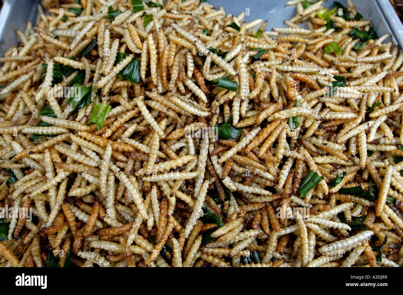 Fried larvae in thailand hi-res stock photography and images - Alamy