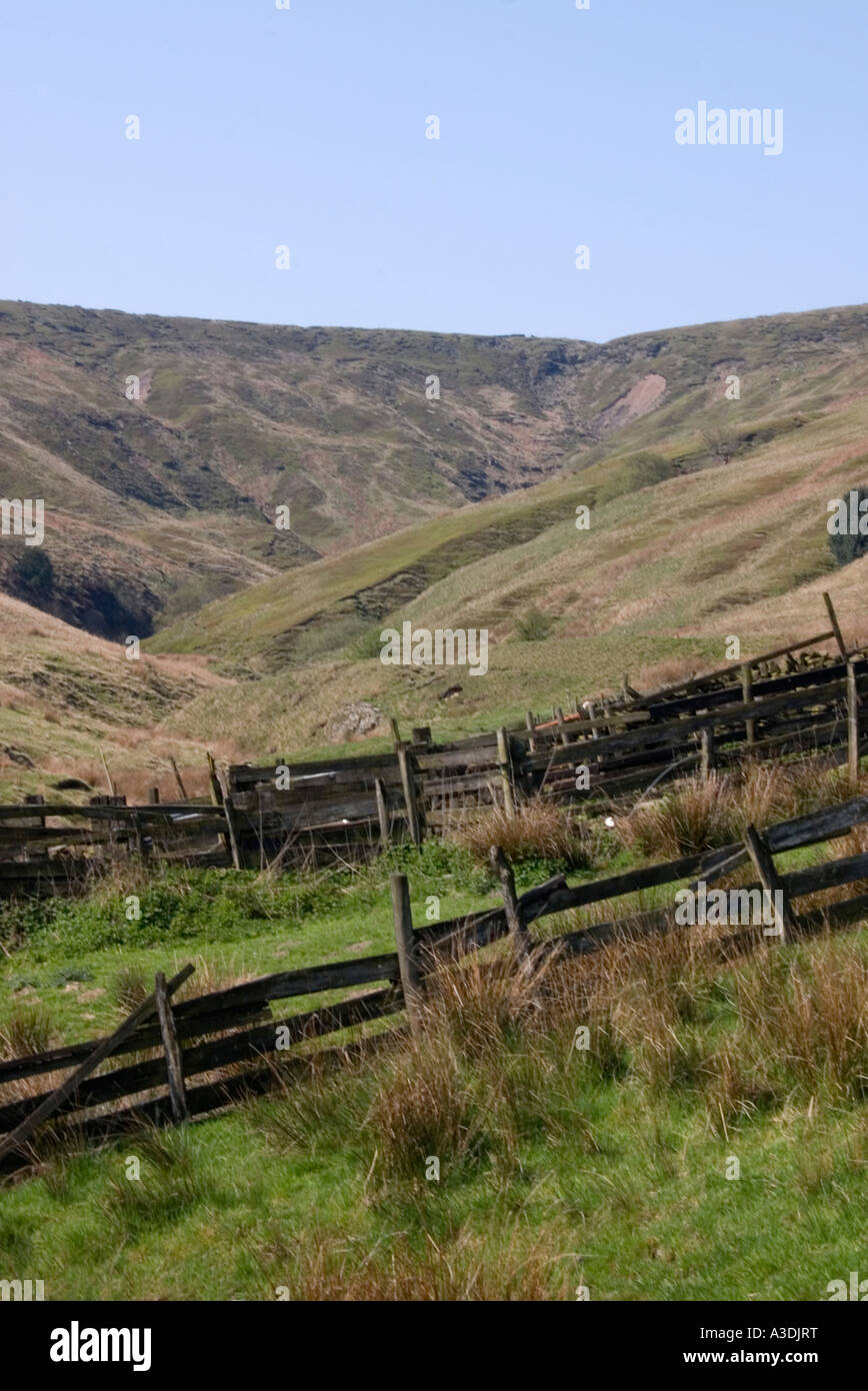 Holme wood spring hi-res stock photography and images - Alamy