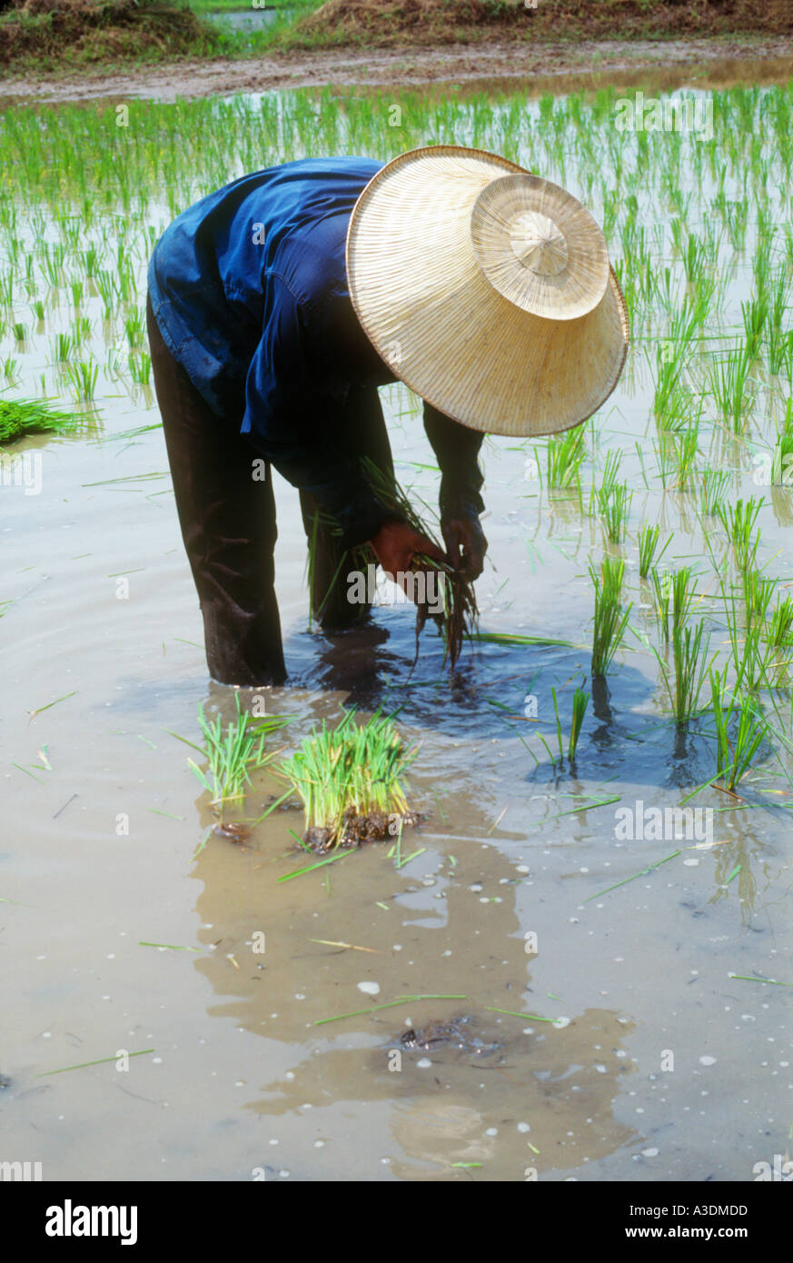 Labor intensive profession hi-res stock photography and images - Alamy
