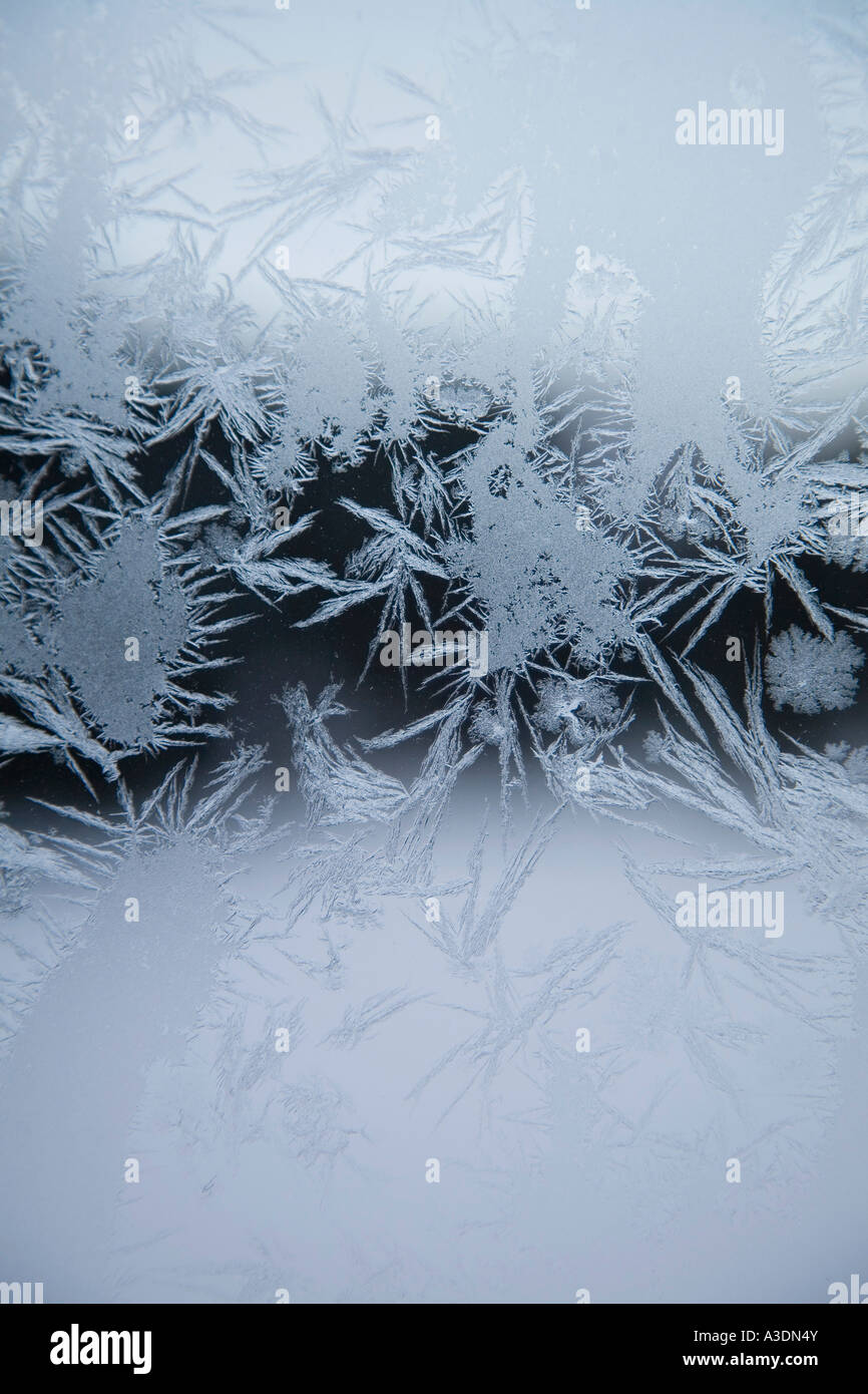 Ice crystals on glass Stock Photo - Alamy