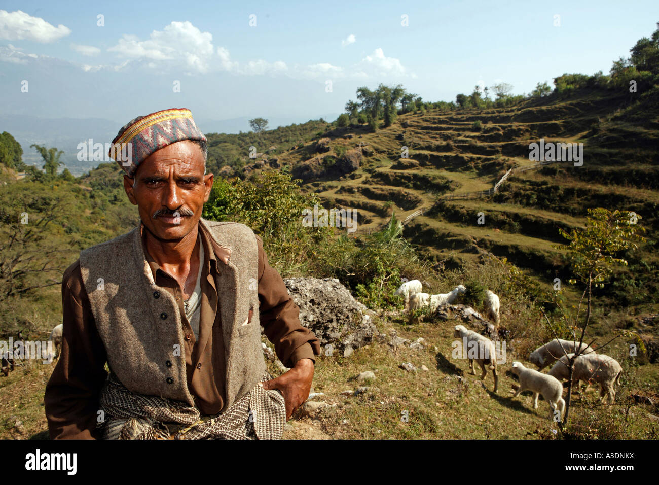Indo-German-Changar-Eco-Development-Project, shepher Man-Singh with his ...