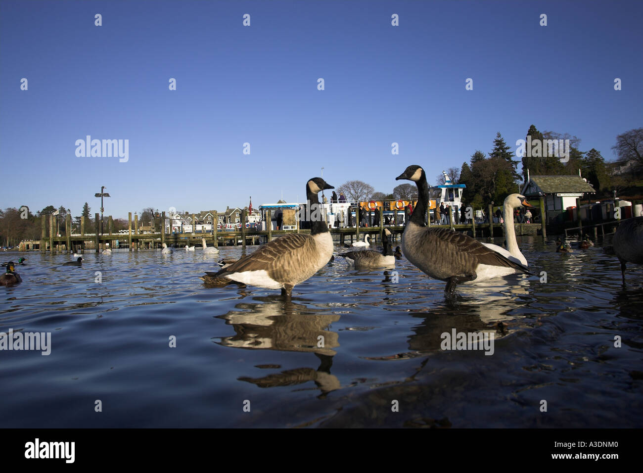 Bowness Bay on Windermere Cumbria UK Stock Photo - Alamy