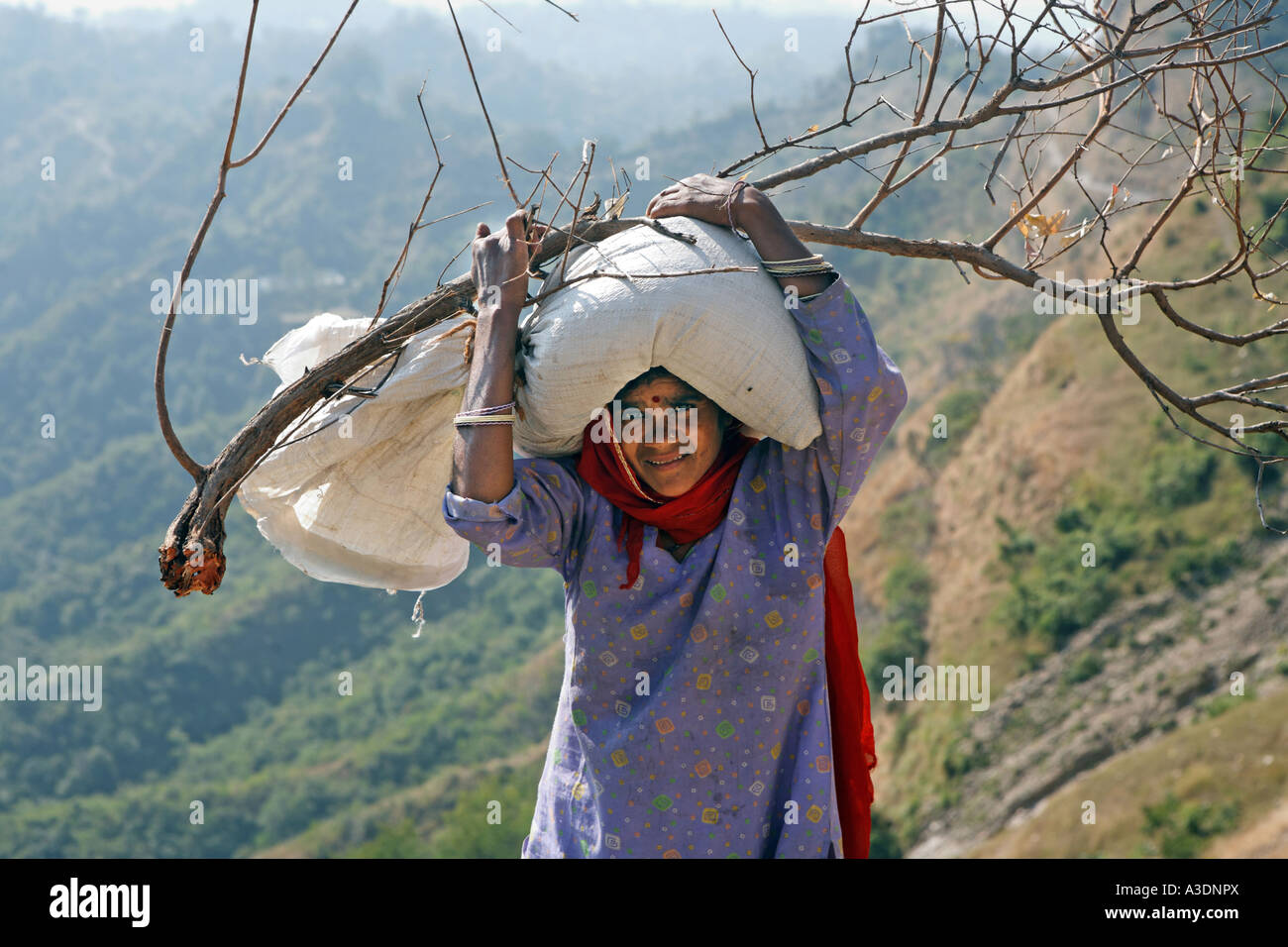 Indo-German-Changar-Eco-Development-Project, Ms Jalang with firewood ...