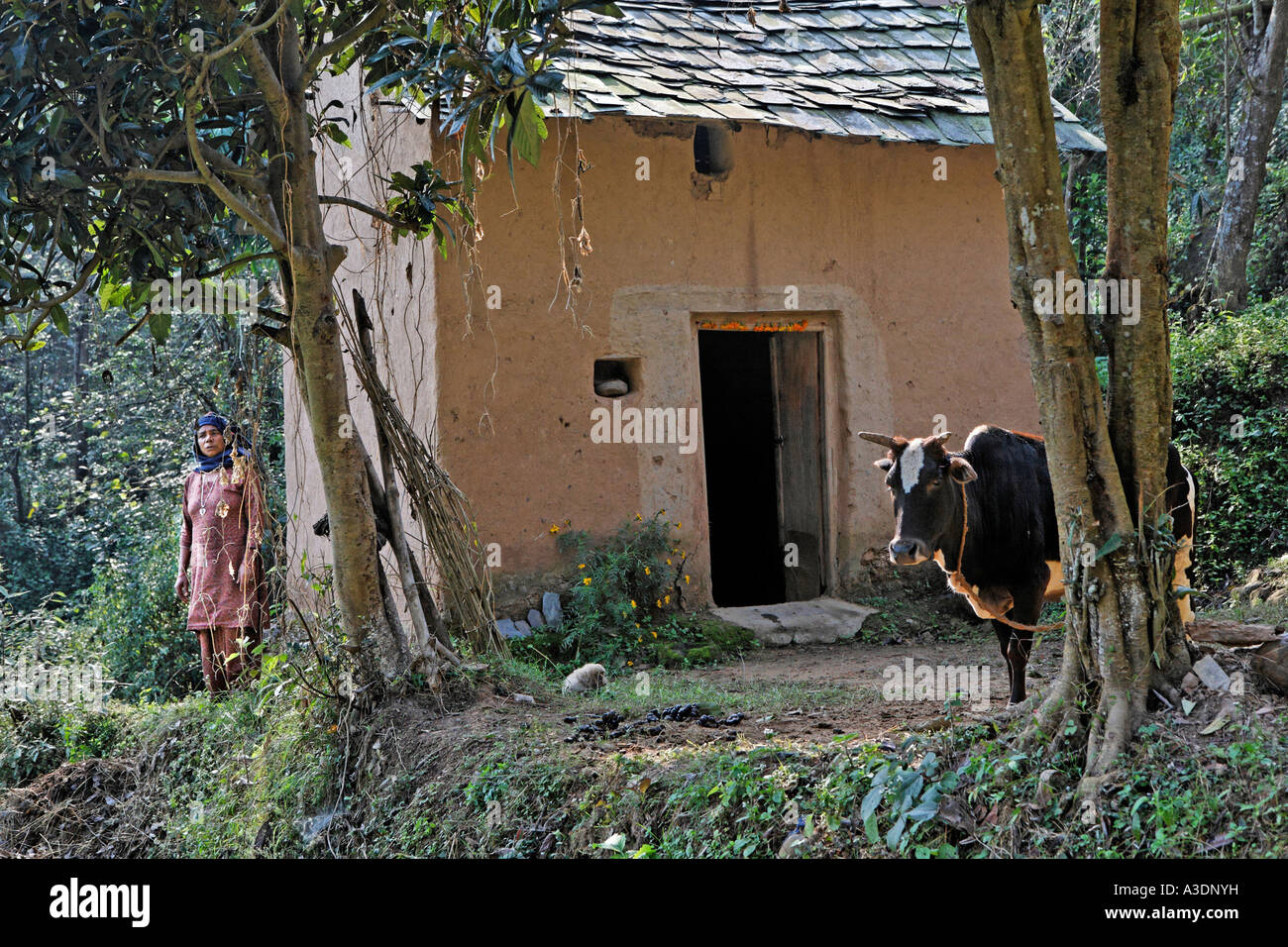 Indo-German-Changar-Eco-Development-Project, Gardiara at her house near ...