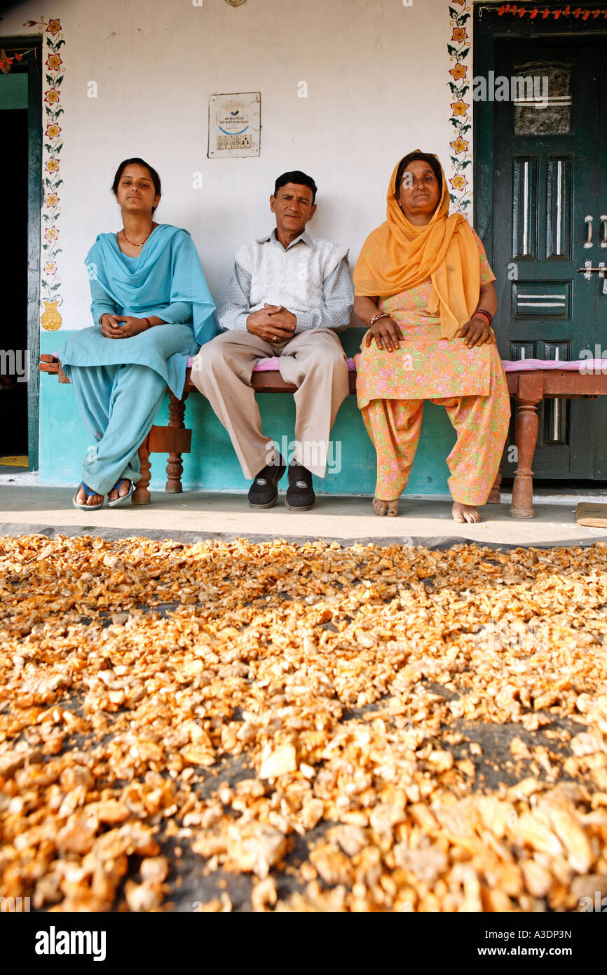 Indo-German-Changar-Eco-Development-Project, farmer Shri Komai and his ...