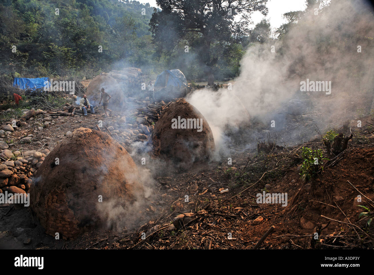 Indo-German-Changar-Eco-Development-Project, charburners near Bakay ...
