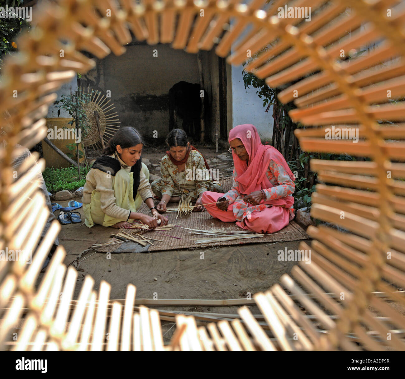Indo-German-Changar-Eco-Development-Project, basket weaver Rekha and ...