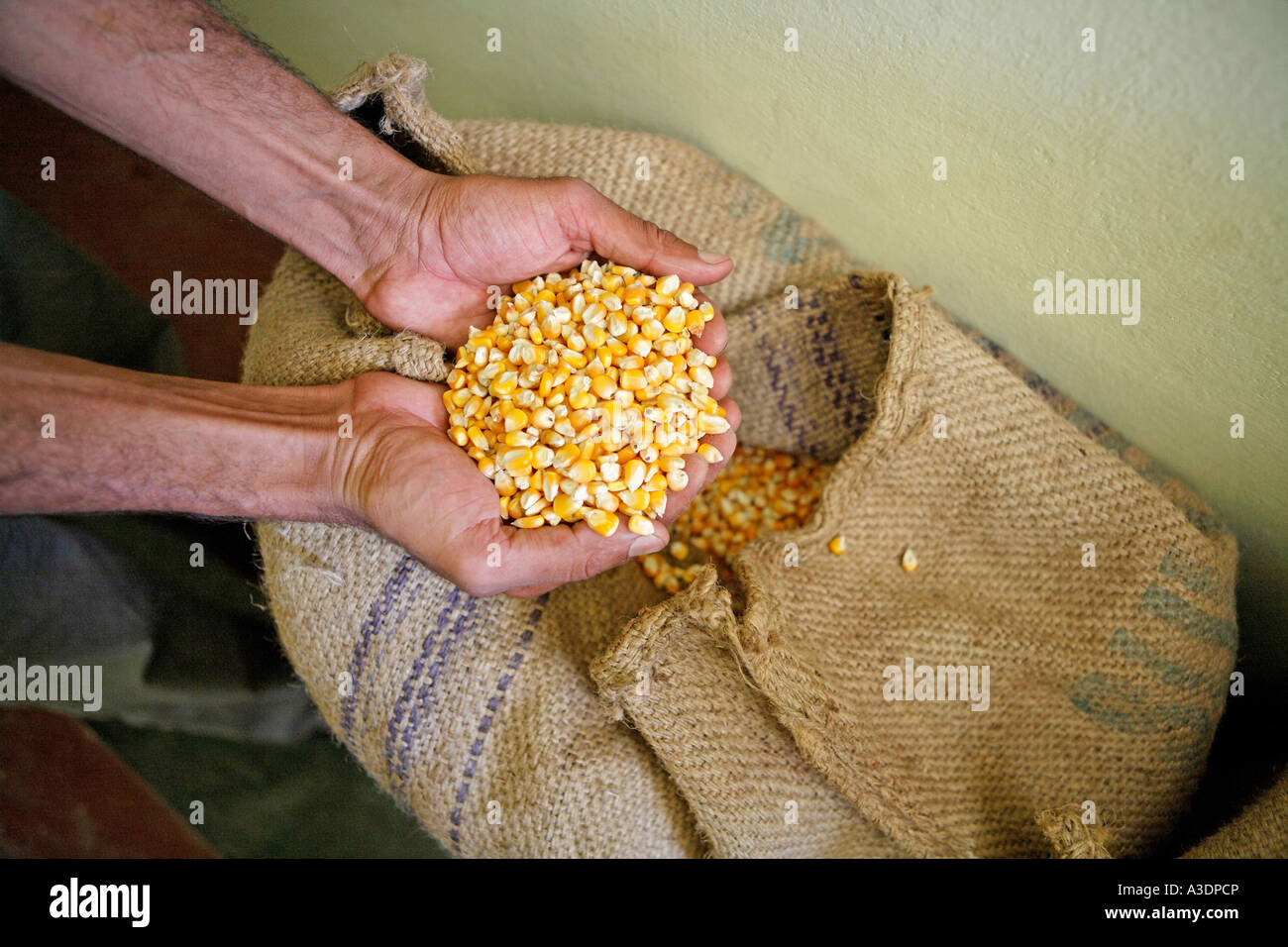 Indo-German-Changar-Eco-Development-Project, clean water for a ...