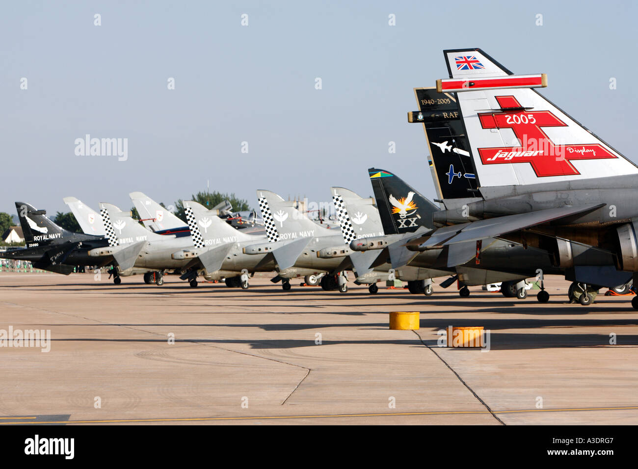 Tails take hi-res stock photography and images - Alamy