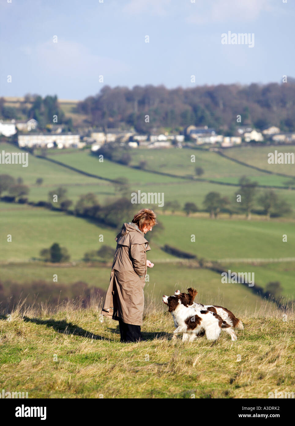 In the countryside walking dogs Stock Photo - Alamy