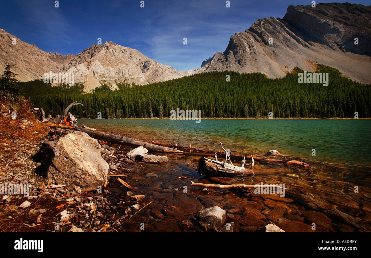 Shoreline of mountain lake Stock Photo - Alamy