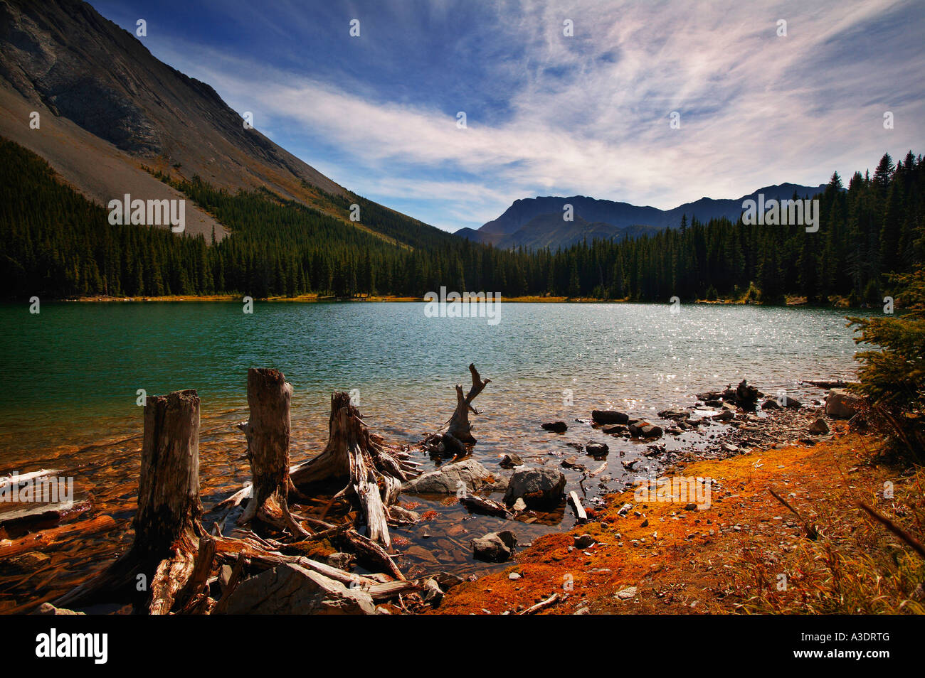 Shoreline of mountain lake Stock Photo - Alamy