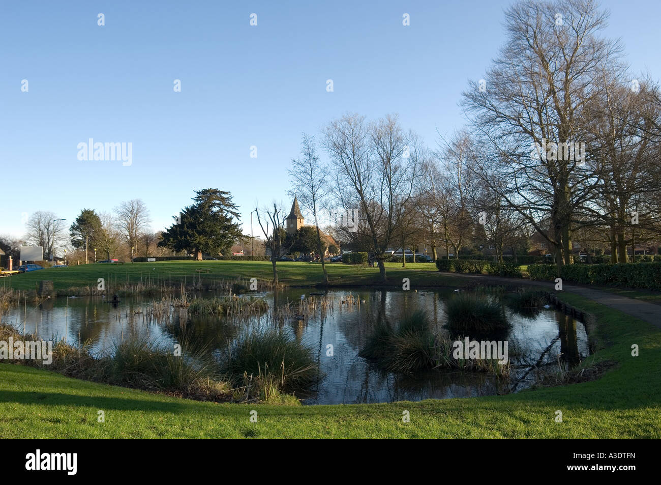 Sanderstead pond all saints church bullrushes hi-res stock photography ...