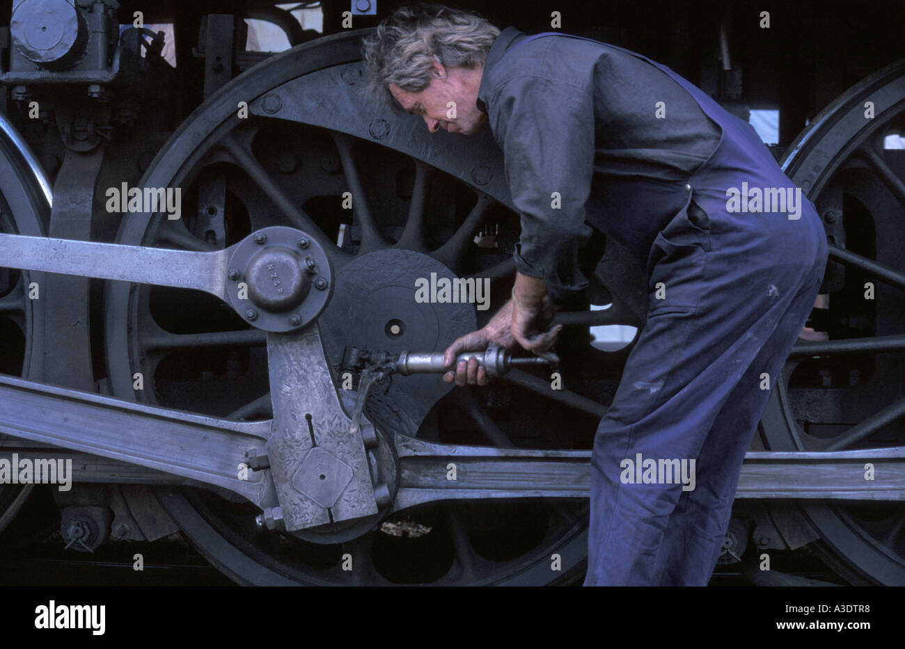 Man in blue overalls greasing piston of a steam locomotive, large ...