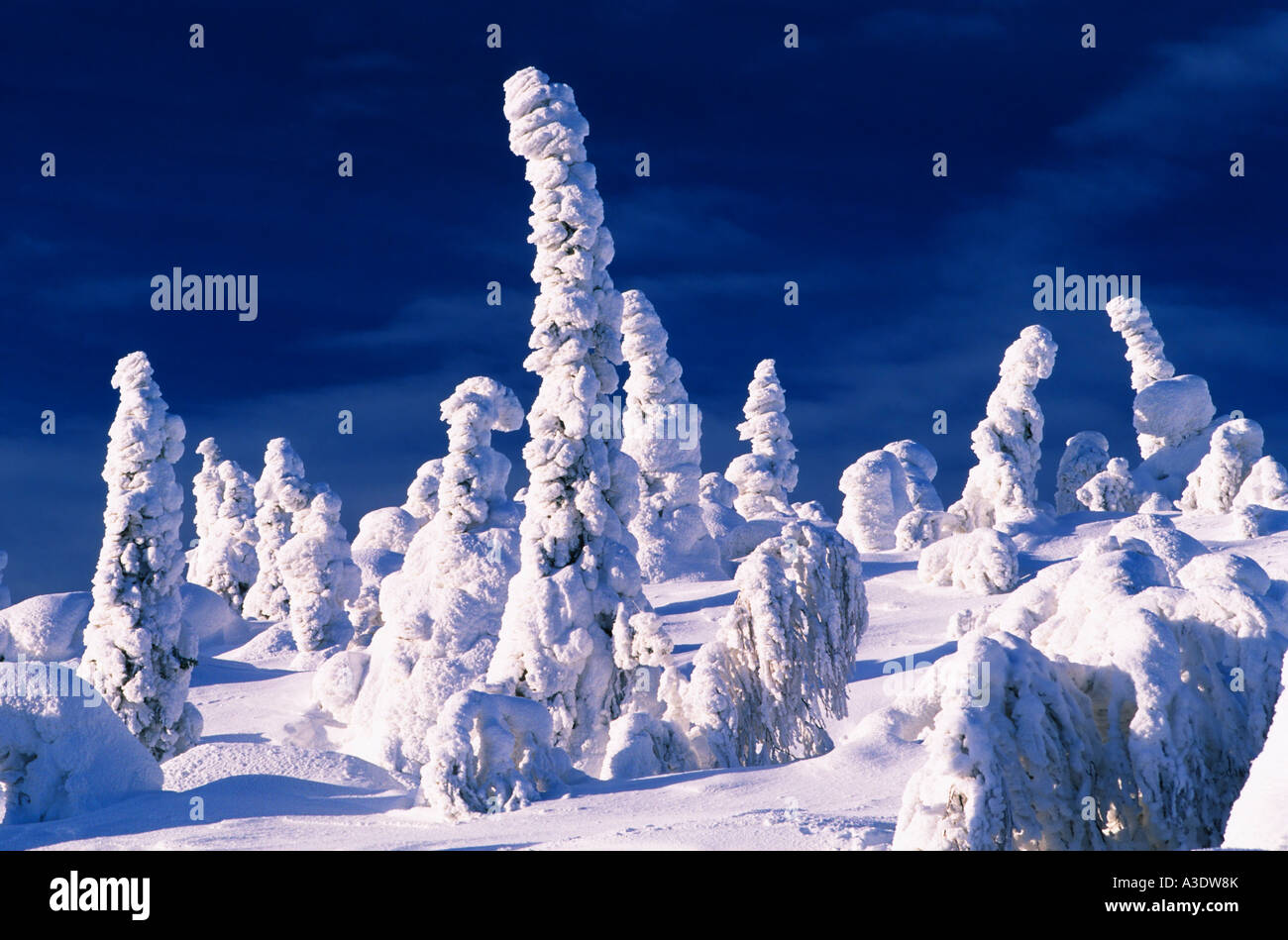 Pudasjarvi finland hi-res stock photography and images - Alamy