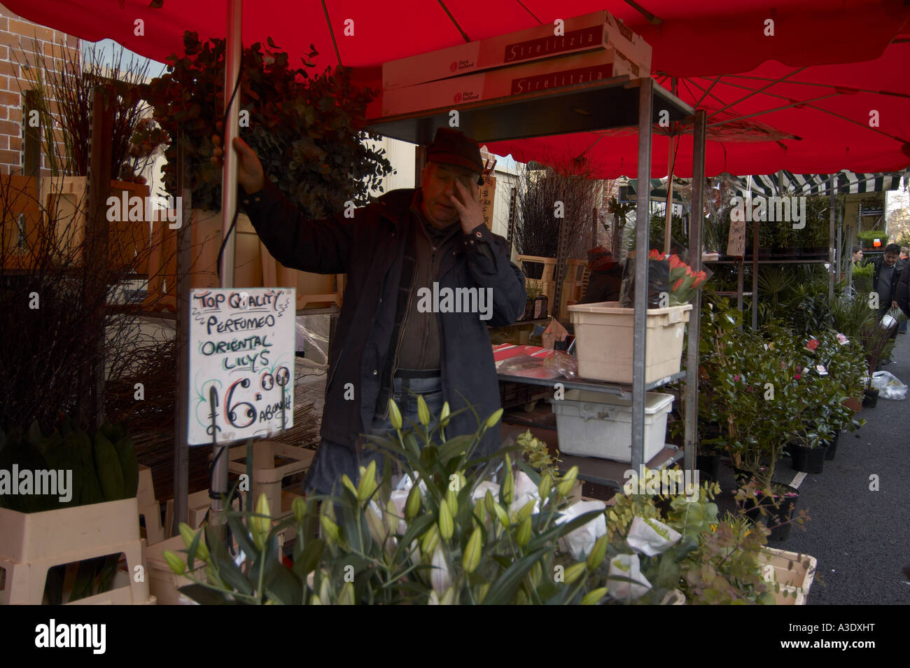 Columbia road hackney london flower hi-res stock photography and images ...