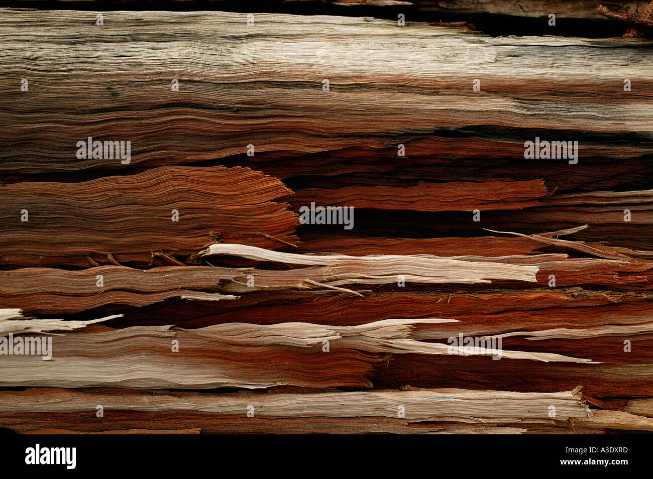 Abstract view of old rotten timber pile, close up Stock Photo - Alamy