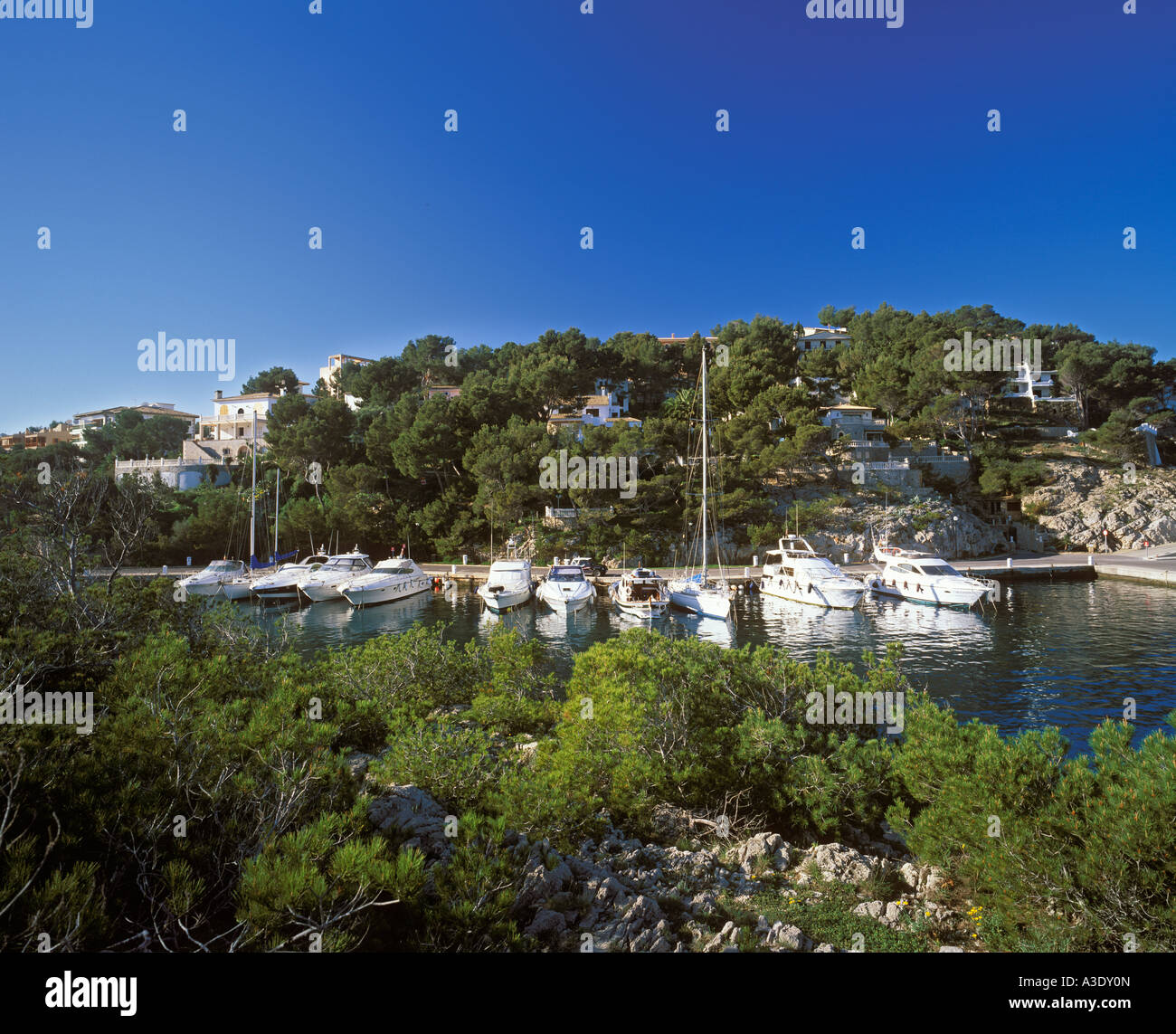 Santa Ponsa Mallorca Stock Photos & Santa Ponsa Mallorca Stock Images ...