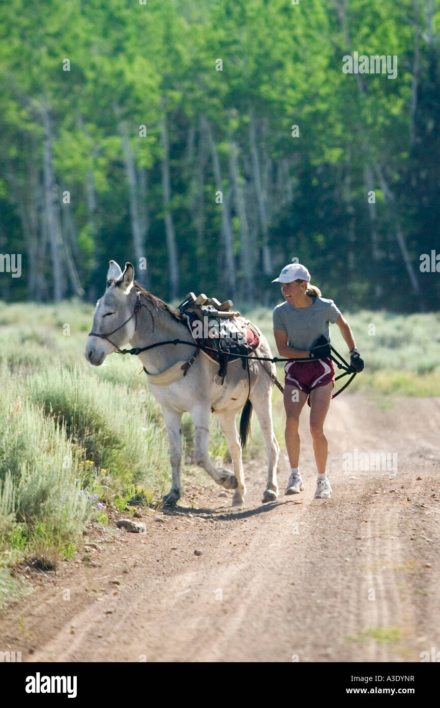 Woman Trying To Run With Burro In Colorado Stock Photo - Alamy