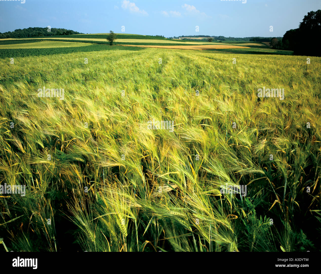 Farm Fields Near Cleland Rock And Mcconnell'S Mill State Park ...