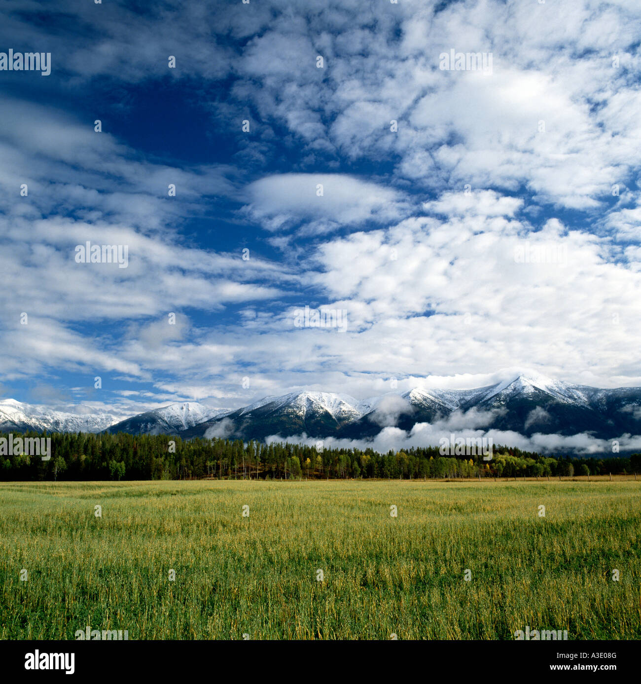 Whitefish Range High Resolution Stock Photography and Images - Alamy