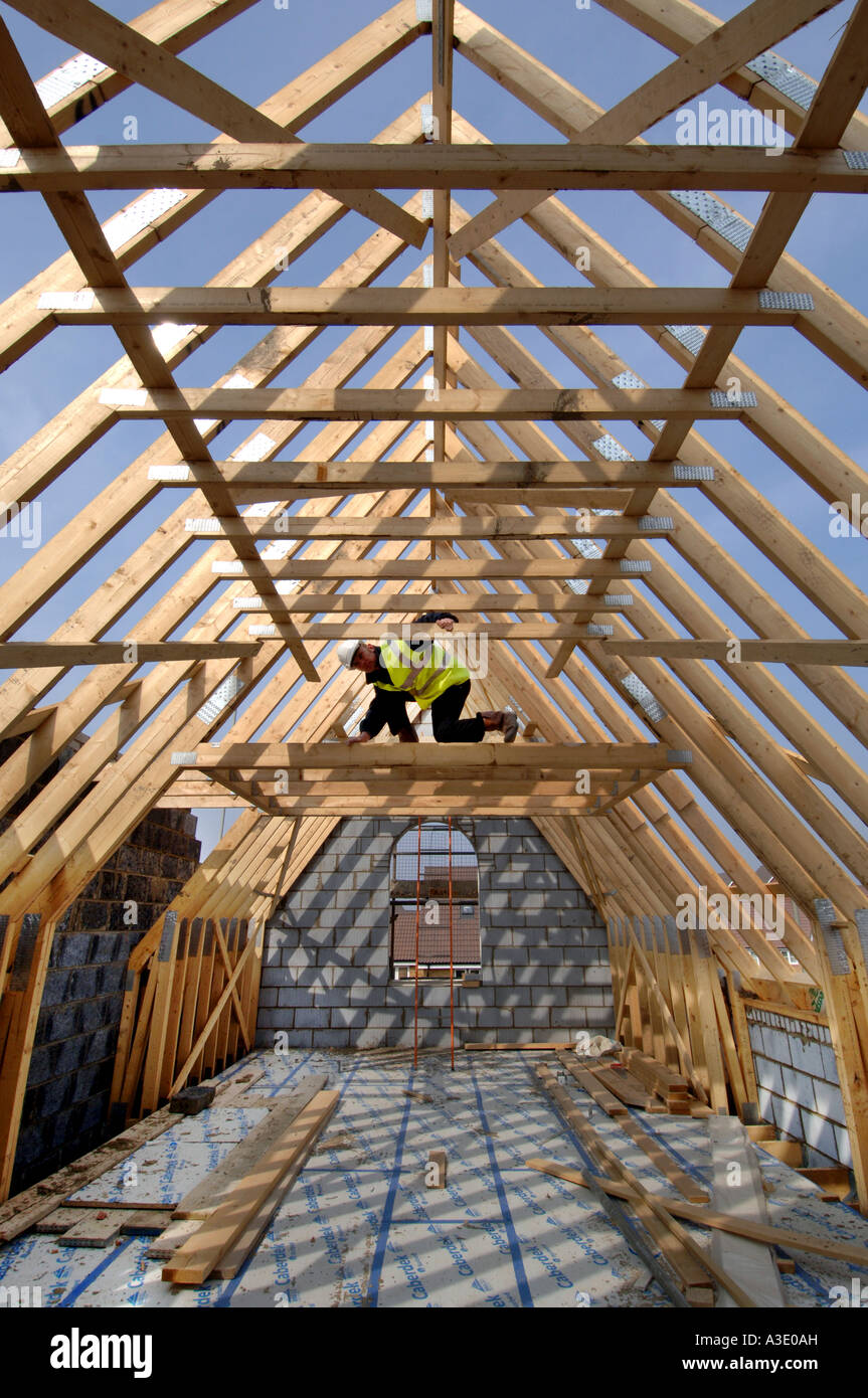 A builder surveying the roof timbers of a new house under construction ...