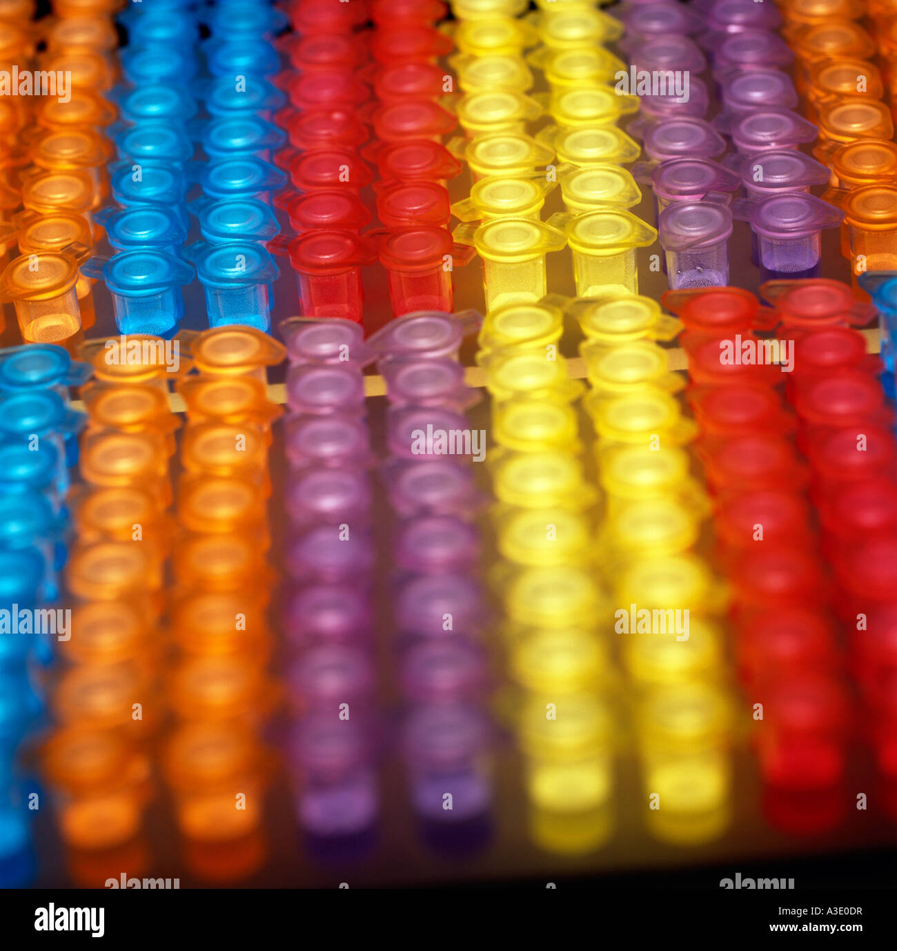 Human Cell Storage At Biomedical Research Facility Stock Photo - Alamy