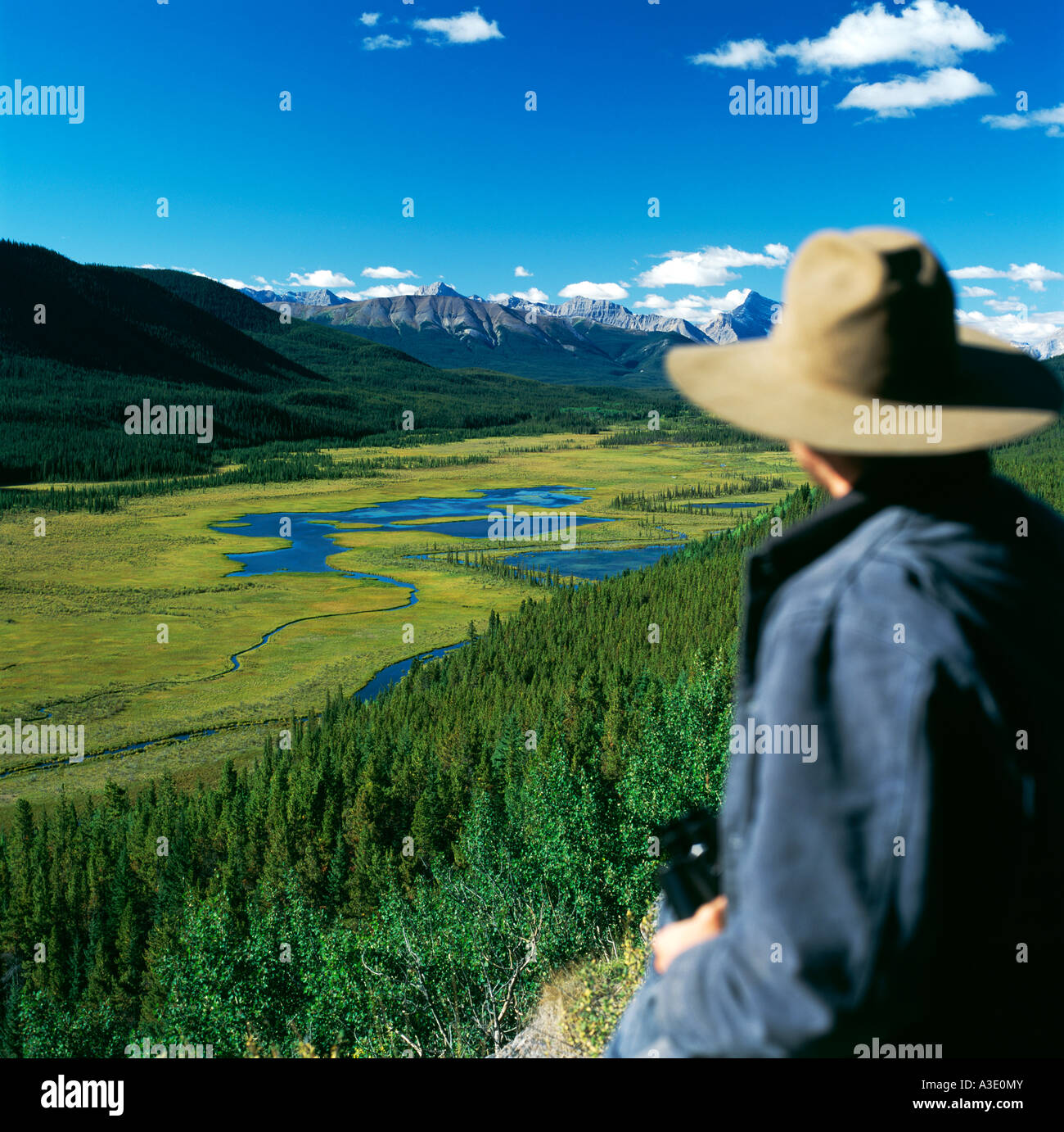 Backcountry guide, Canadian Rocky Mountains, Overlooking Valley In ...