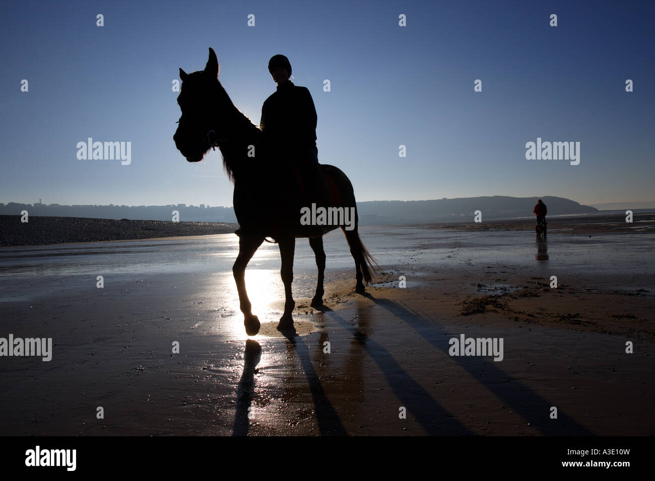 horses on westward ho! beach with blue skies Stock Photo - Alamy