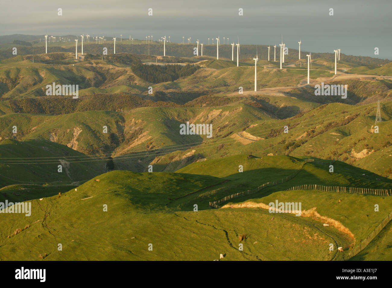 New Zealand. Electricity-generating wind turbines, Te Apiti wind farm ...