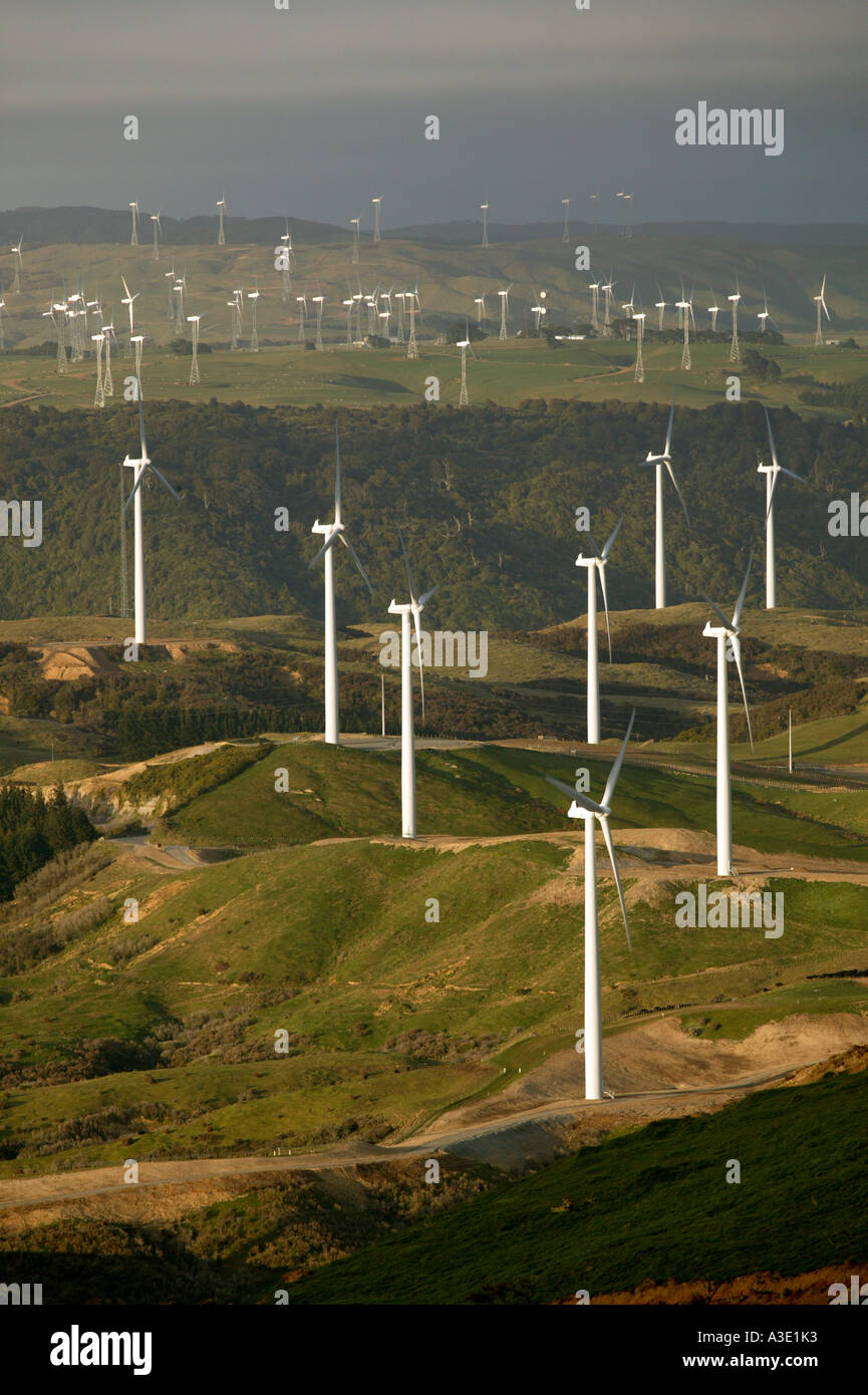 New Zealand. Electricity-generating wind turbines, Te Apiti wind farm ...