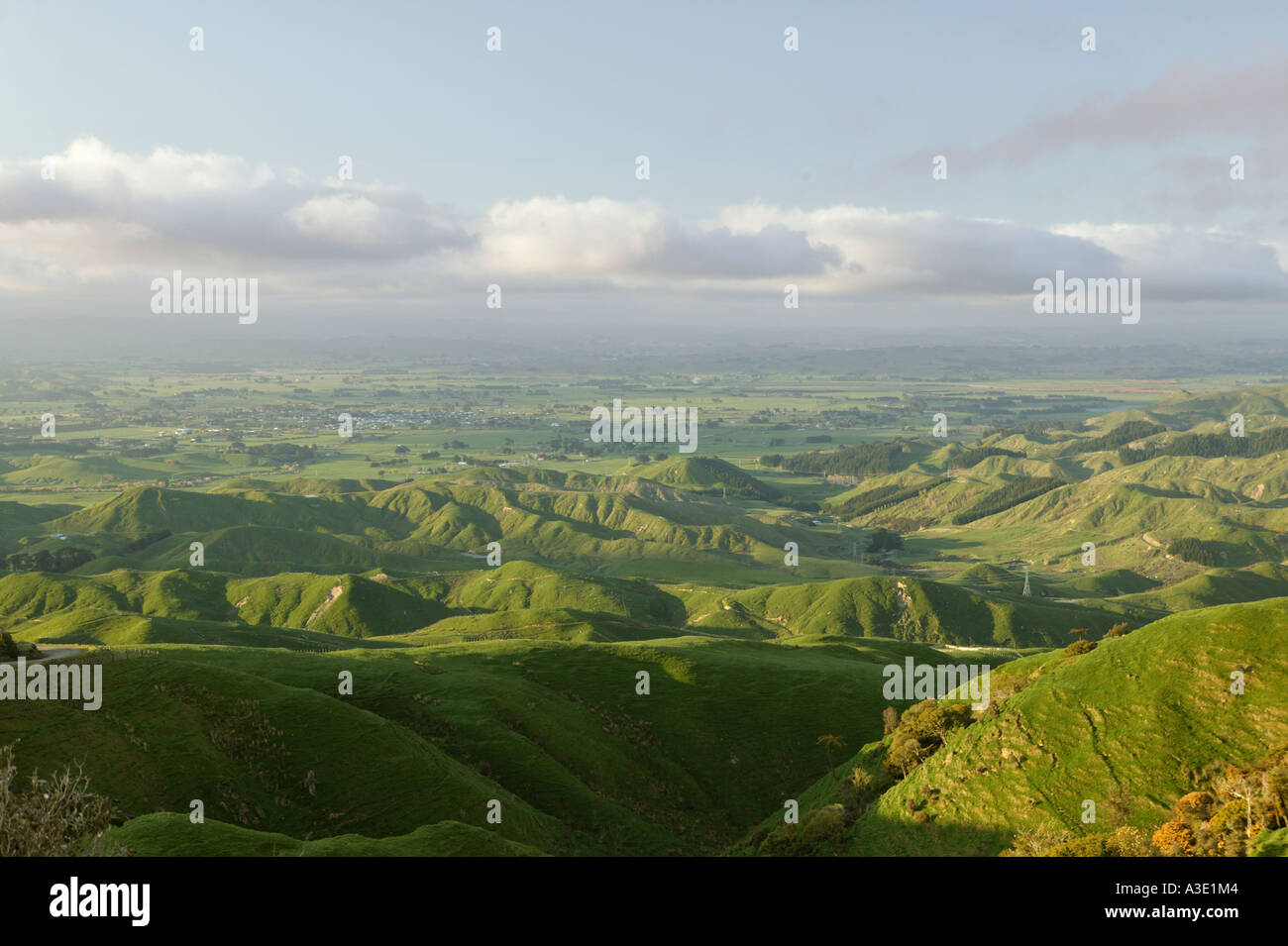 New Zealand, rural landscape from a hilltoop in Manawatu, N. Island ...