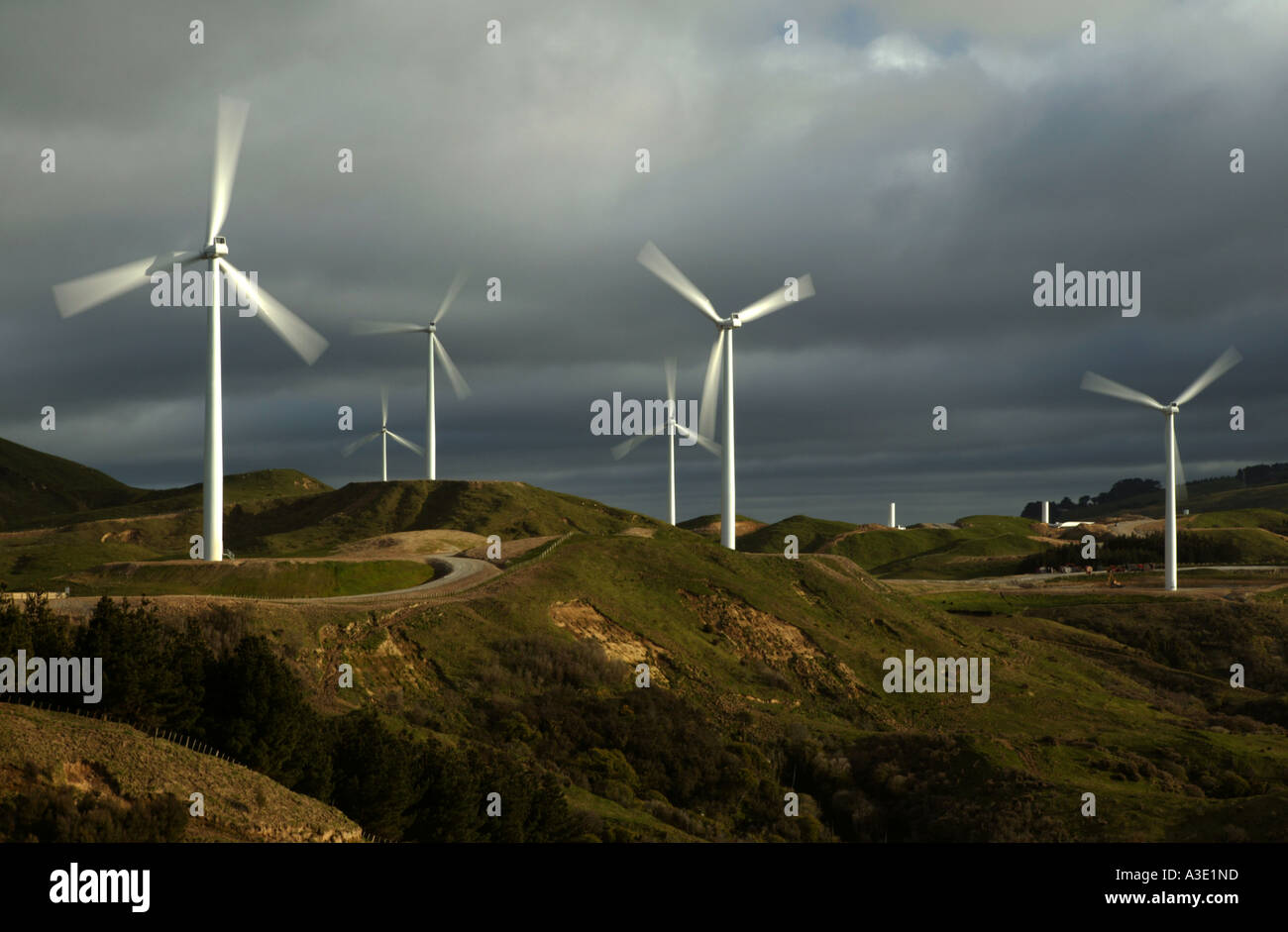 New Zealand, Te Apiti Wind Farm, electricity generating wind turbines ...