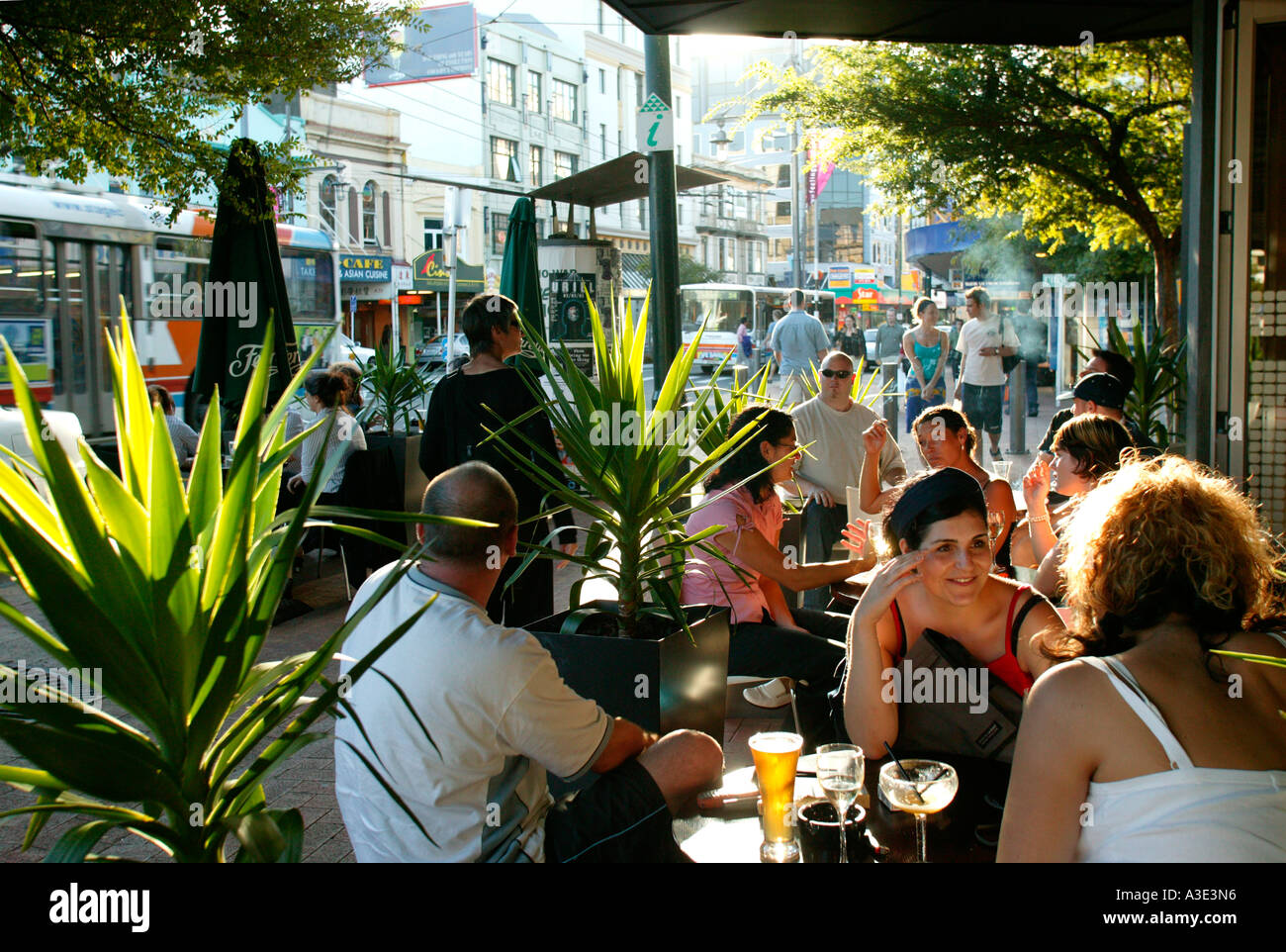 New Zealand, Wellington, people sitting at pavement cafe talking, flax ...
