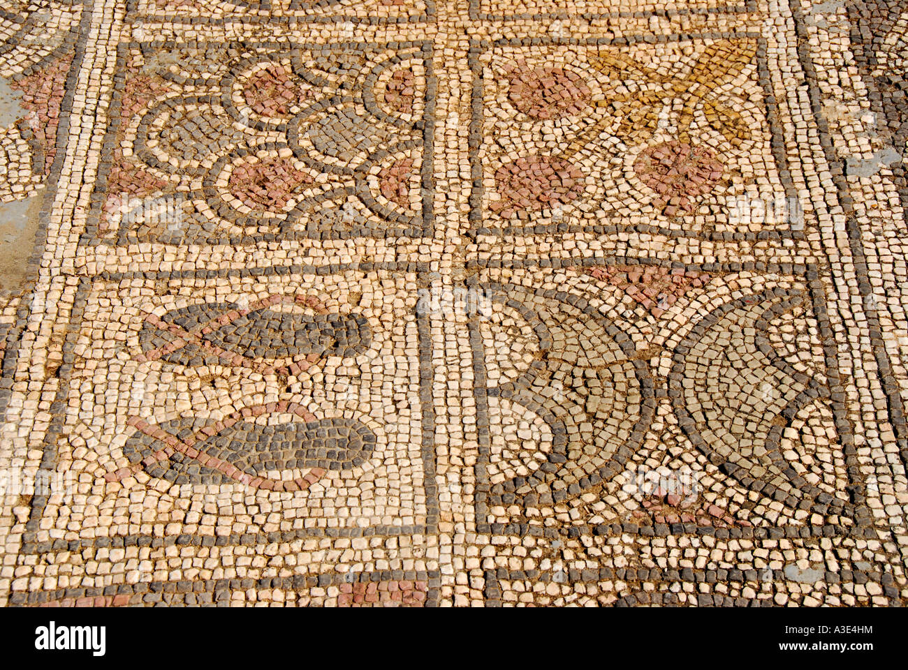 Colourful mosaic various patterns at archaeological site of early ...