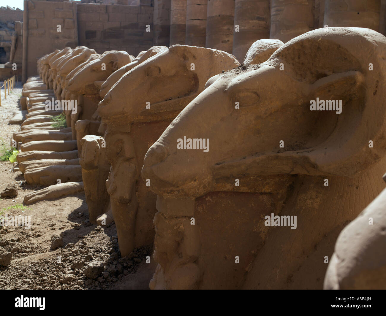 Rams head sphinx hi-res stock photography and images - Alamy