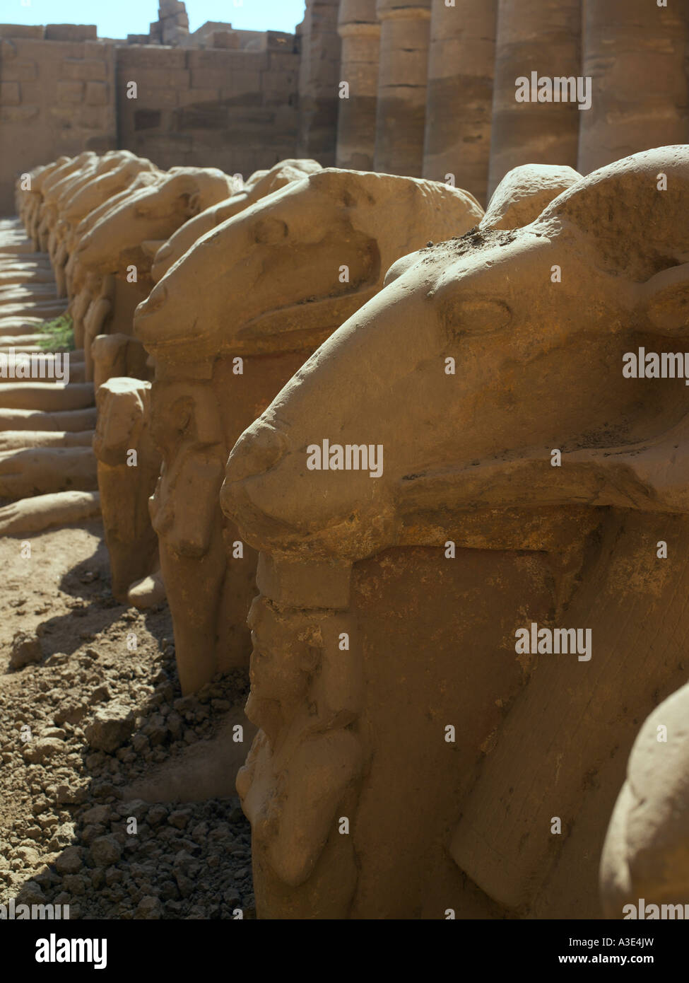Rams head sphinx hi-res stock photography and images - Alamy