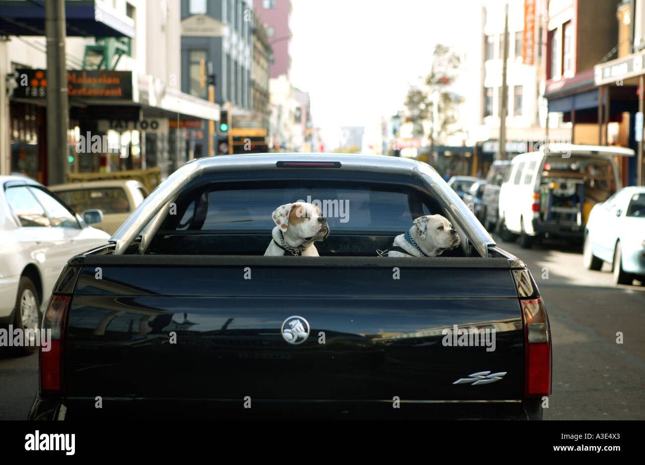 Australian holden ute utility hi-res stock photography and images - Alamy