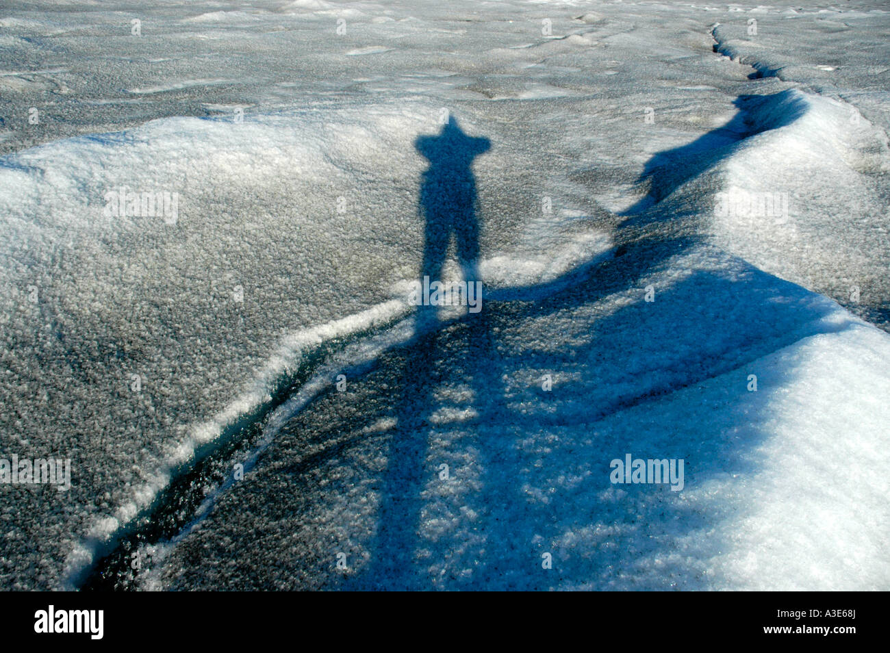 Shadow of a human on inland ice shield Apuserserpia glacier ...