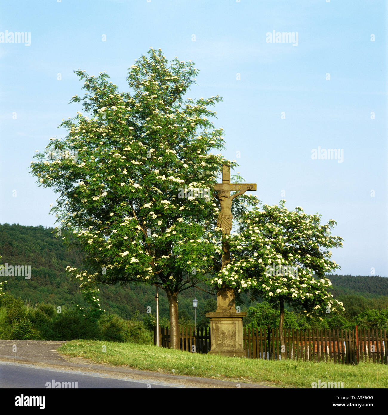 Fladungen Rhoen Rhoen mountains Lower Frankonia Bavaria Germany stone ...