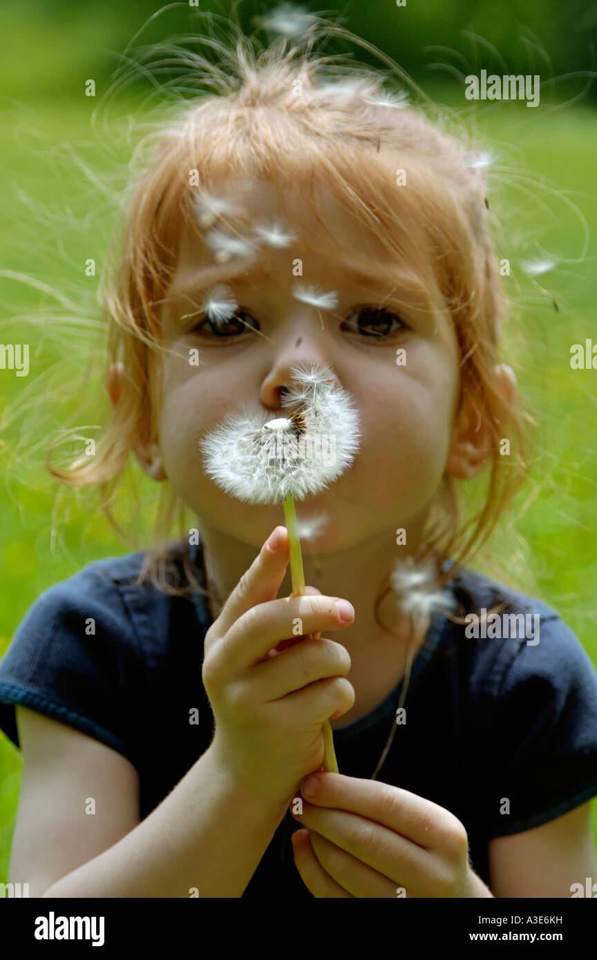 Child is blowing a dandelion Stock Photo - Alamy