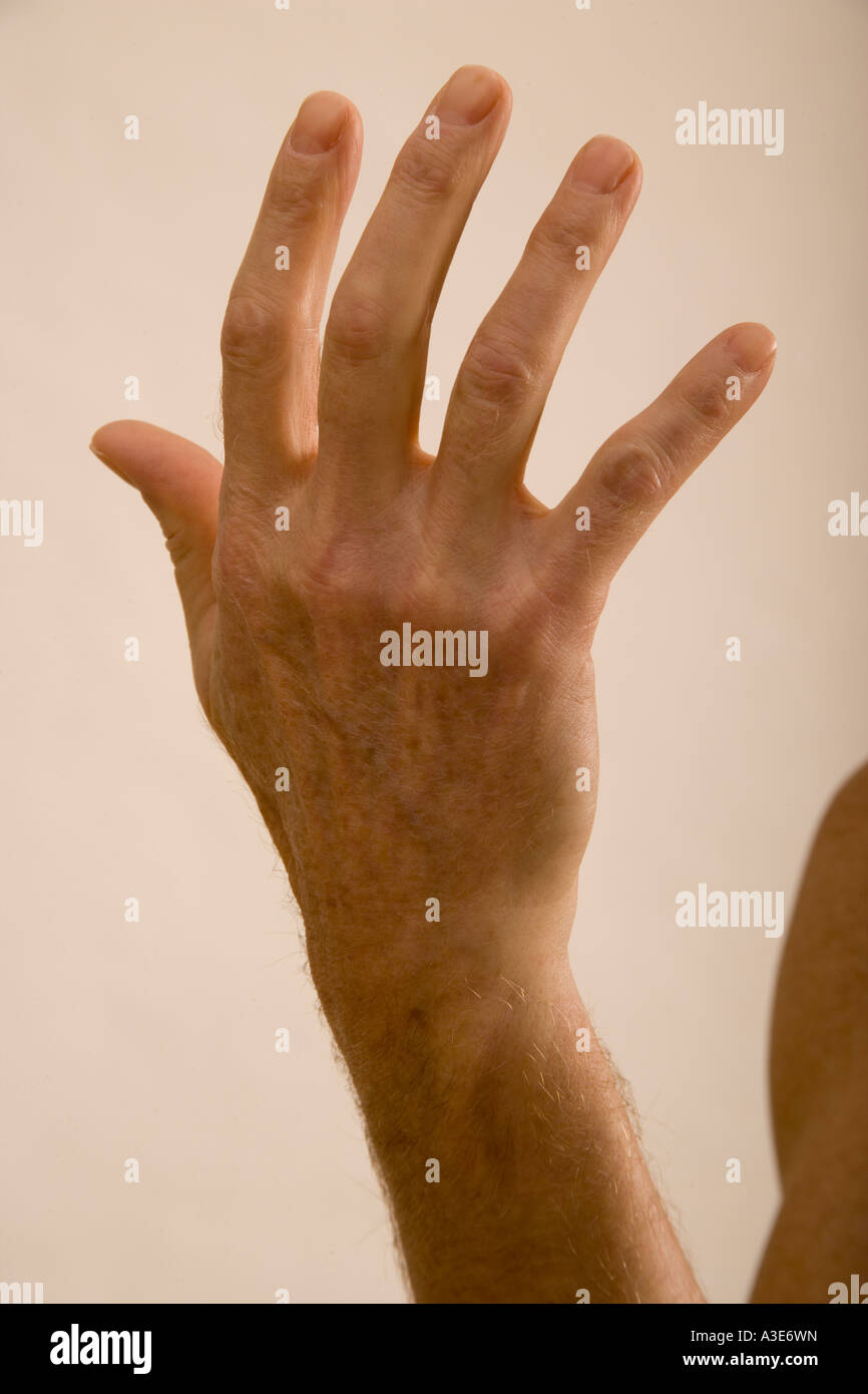 The back of a man's hand Stock Photo - Alamy