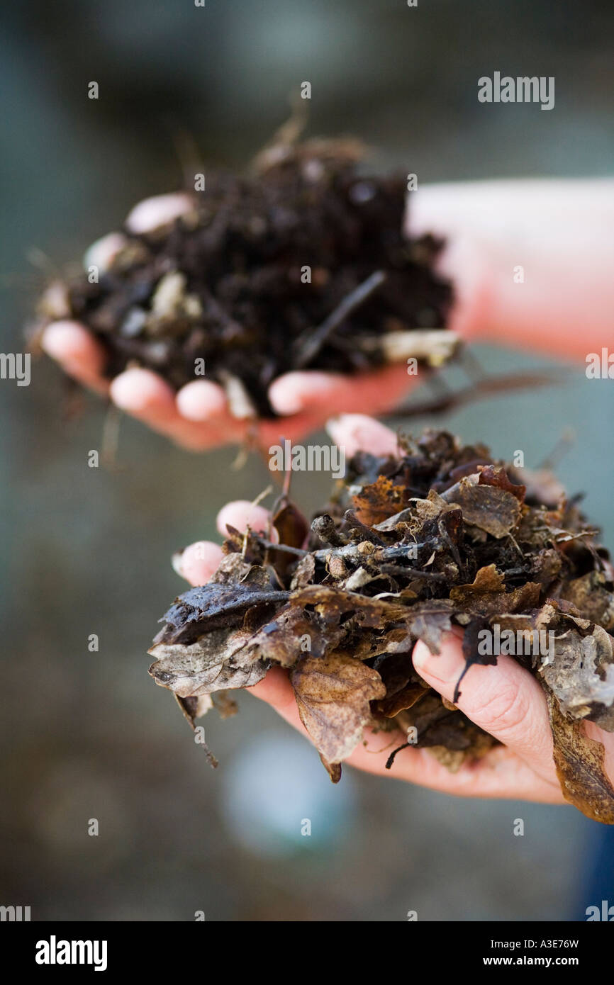 Hands holding two different types of home made compost at the Centre ...