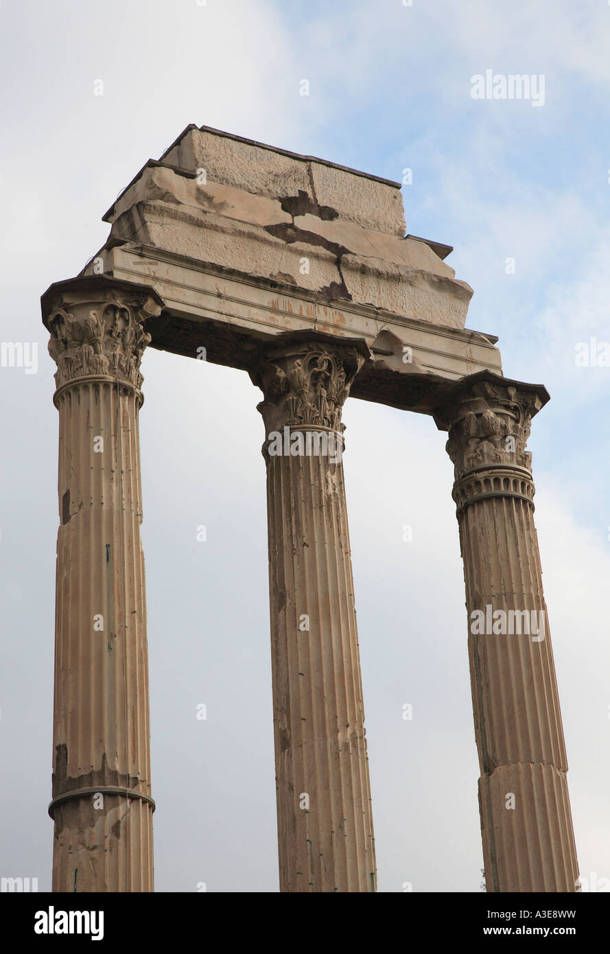 Roman columns in the forum Romanum, Rome Italy Stock Photo - Alamy