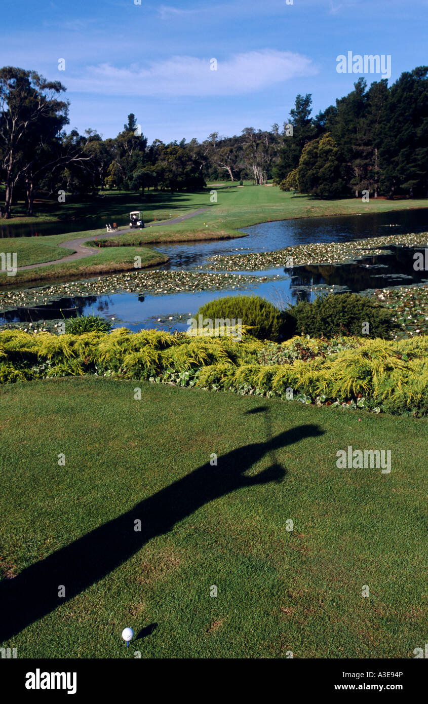 Golfer Mowbray Golf Club Launceston Tasmania Australia vertical Stock ...