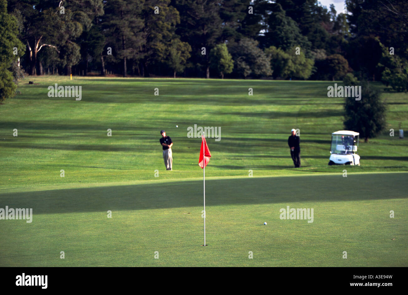 Golfers Mowbray Golf Club Launceston Tasmania Australia horizontal ...