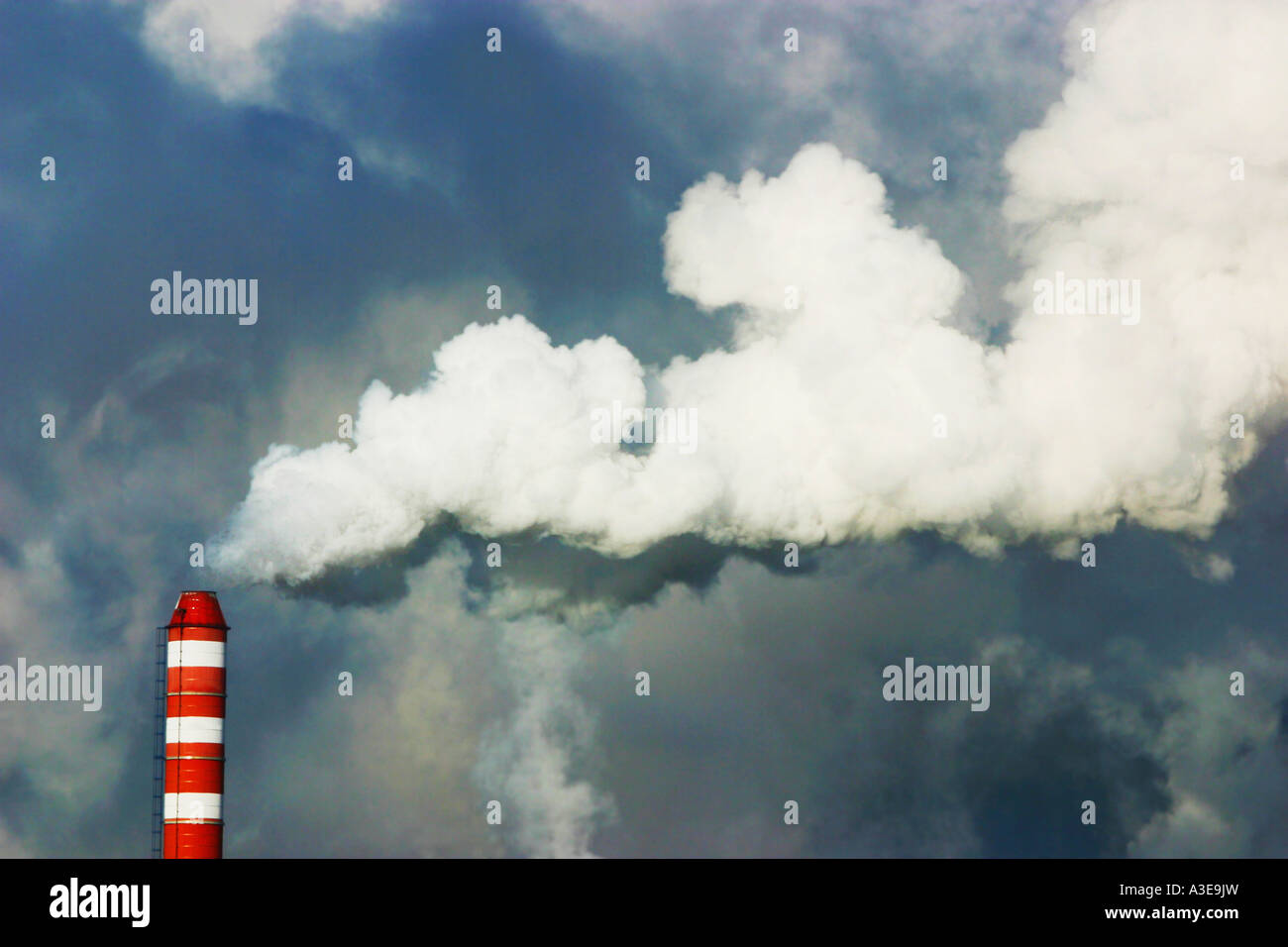 Richard stack hi-res stock photography and images - Alamy